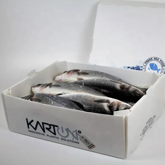 PP Corrugated Seafood Shipping Containers - Durable & Biodegradable