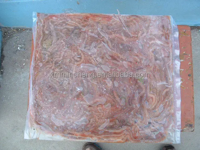 Frozen Bloodworm Cubes for Tropical Fish - High-Protein Pet Food for ...
