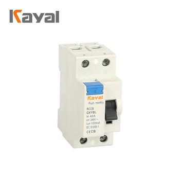 Free Sample! 2p 4p 10ma 15ma 30ma 300ma 32a 40a 63a 100a Rccb Rcd Rcbo ...