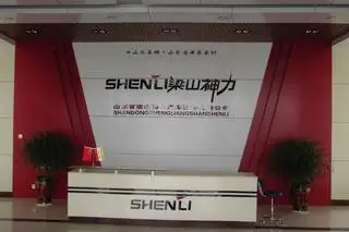 Company Overview - Shandong Province Liangshan Shenli Auto Parts Co., Ltd.