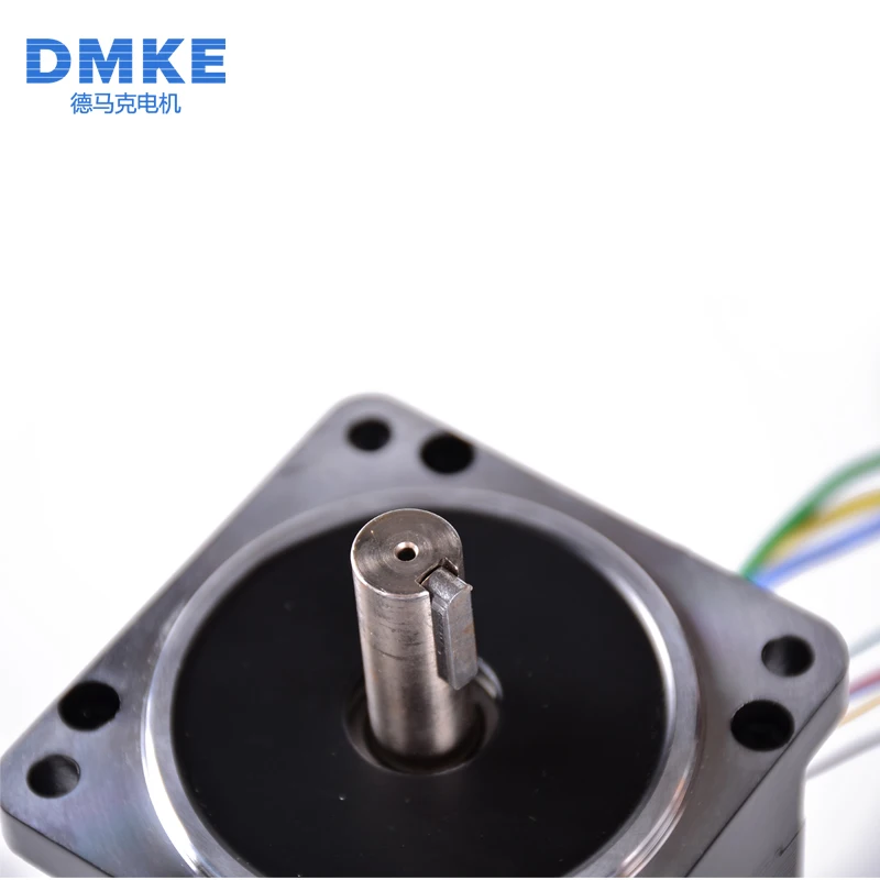 Custom 3000rpm 1 Hp 12 Volt 24v Electric Dc Brushless Motor 3000 Rpm ...