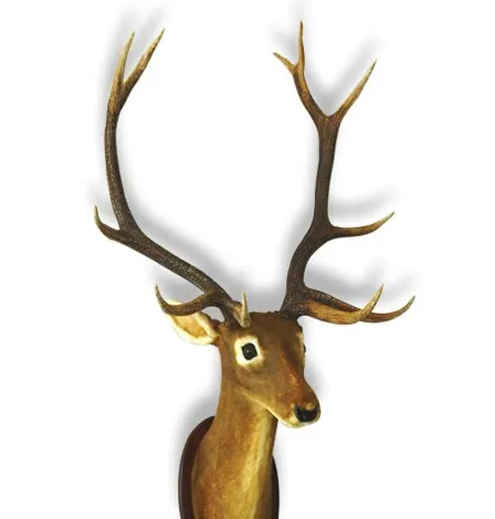 Wall Mounted Animal Head Wall Decoration Taxidermy Real Deer Head Wall ...
