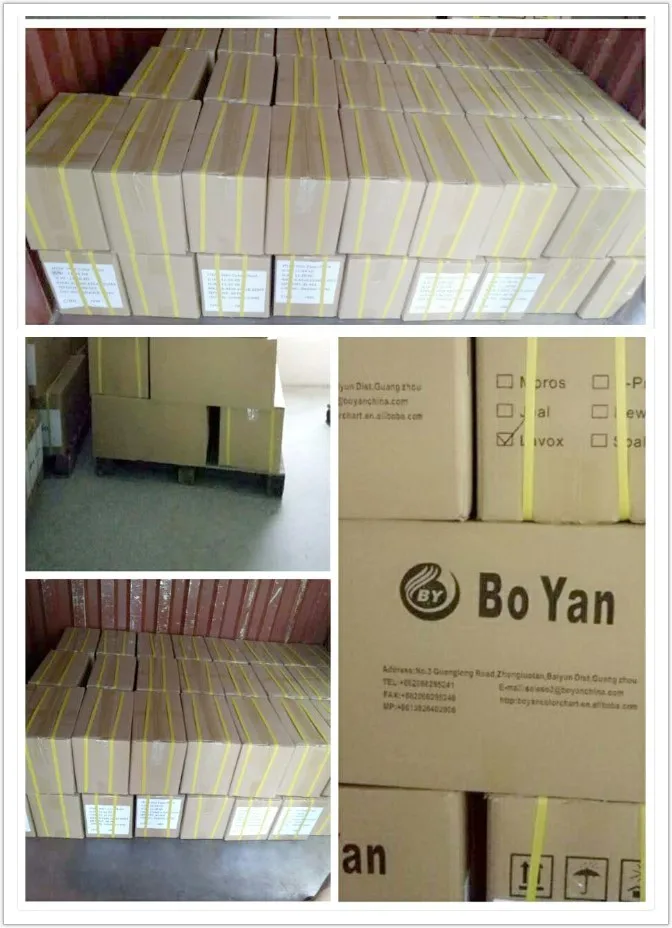 Oem General Paint Color Chart Iso Hairdresser Hair Color Swatch Chart ...