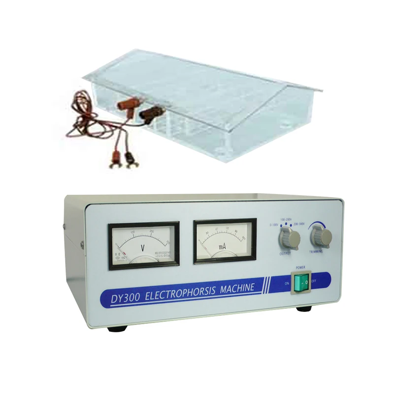 Laboratory Electrophoresis Machine with Customized Support