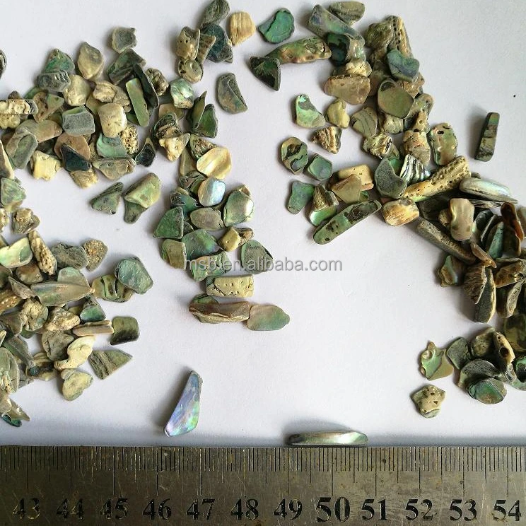 Natural Abalone Paua Crushed Abalone Shell Chips Blanks - Buy Abalone ...