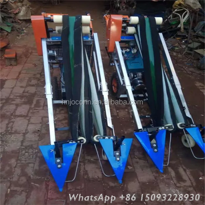 Chinese Chives Harvesting Machine Parsley Celery / Mini Garden Parsley ...