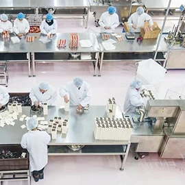 Company Overview - Shantou Mico Foodstuff Co., Ltd.