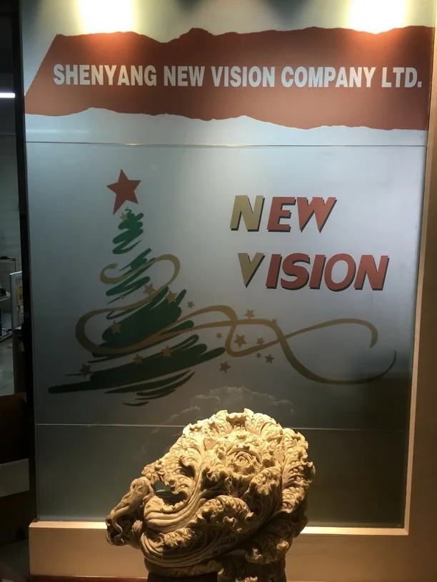 Company Overview - Shenyang New Vision Company Ltd.