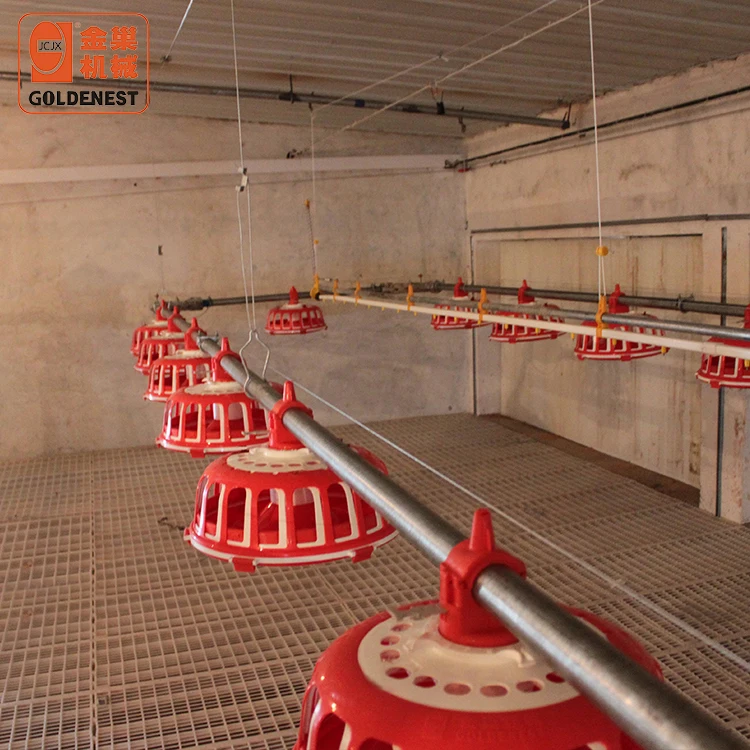 Poultry Automatic Feeding System - Efficient & Reliable