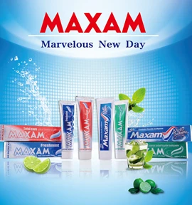 Company Overview - Shanghai Maxam Company Limited