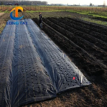 Heavy Duty Landscape Fabric Agronomy Greenhouse Ground Cover Pp Plastic ...