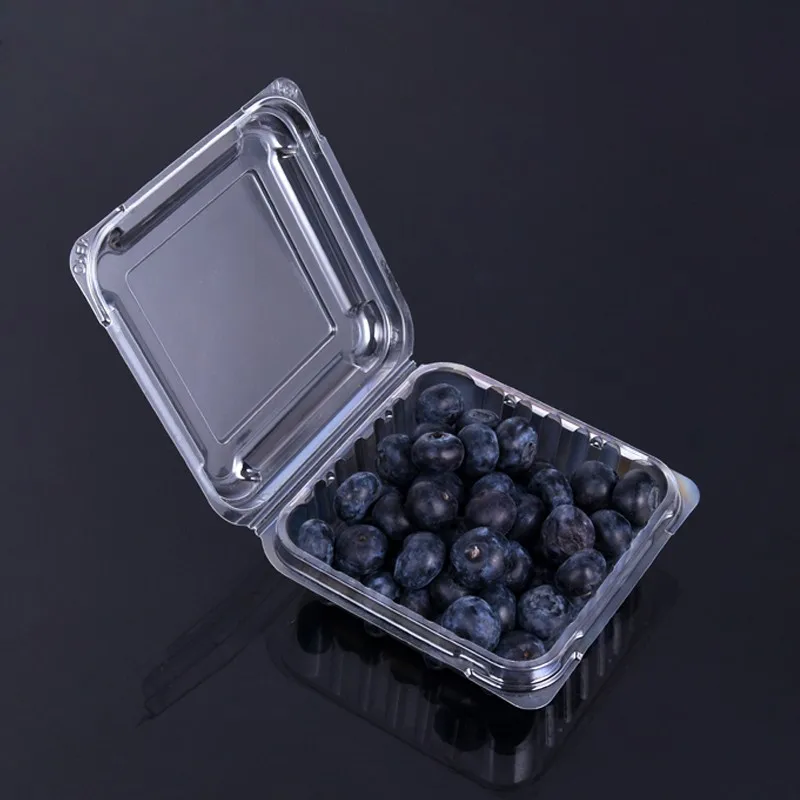 Lesui Clear Disposable Blueberry Plastic Box with Holes - OEM Available