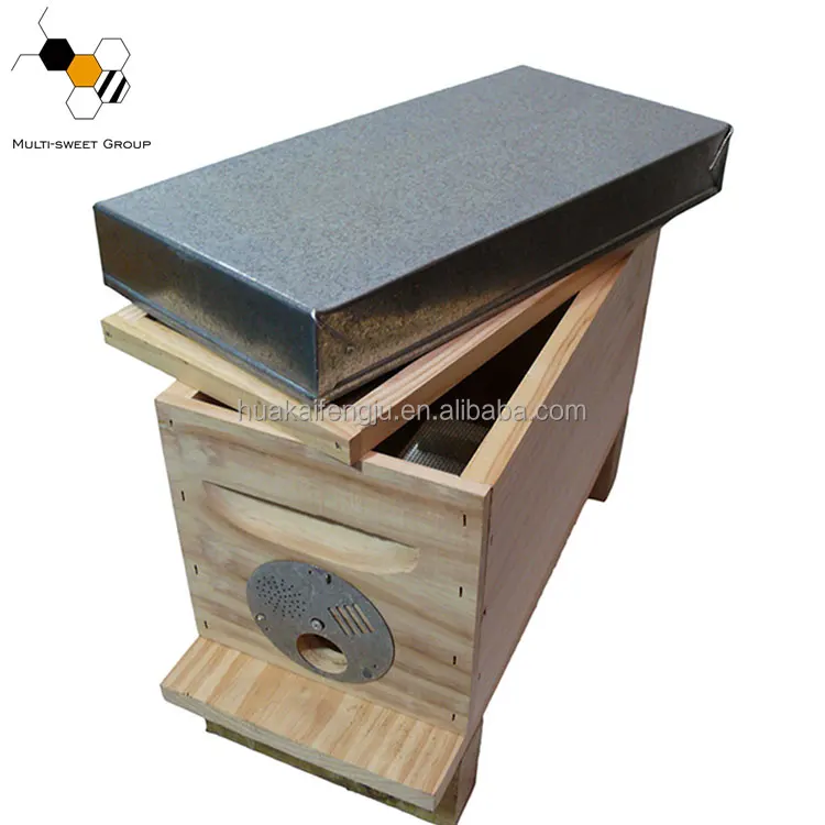 Bee Queen Rearing Nuc Box Hive - Quality Beekeeping Equipment