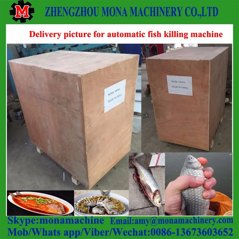 Stainless Steel Tilapia Fish Gutting Killing Gutting Cleaning Machine ...