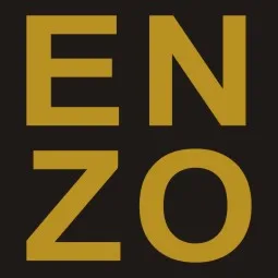 Company Overview - ENZO Electronic Co., Limited