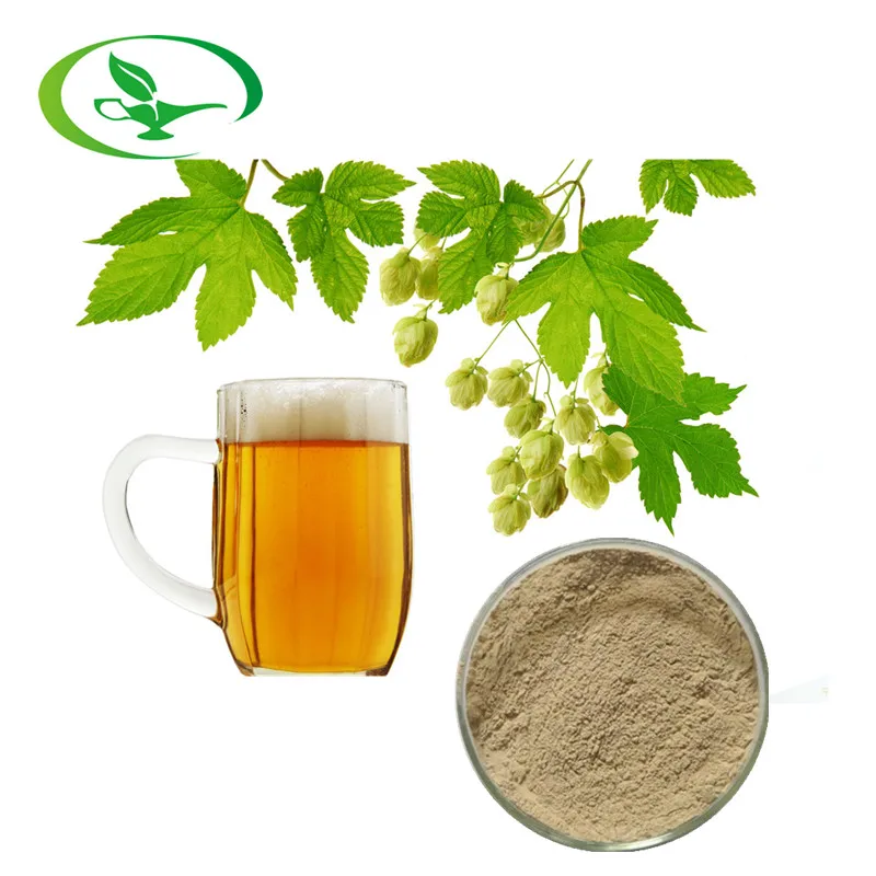100% Natural&high Quality Hops Flower Extract Xanthohumol 5% Hplc - Buy ...