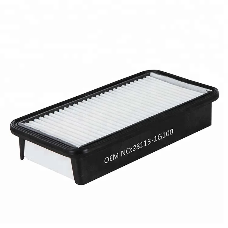 Air Filter 28113-1g100韩国汽车 - Buy 28113-1g100,C 2628,Lx 2638 Product on ...