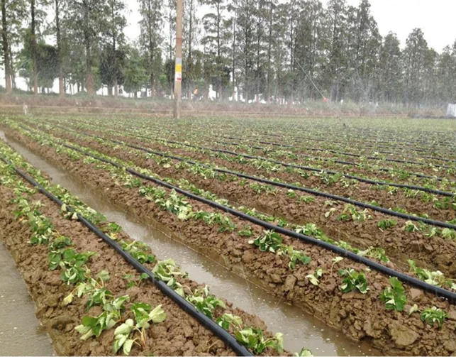 Agricultural Rain Hose Irrigation System - Efficient & Durable
