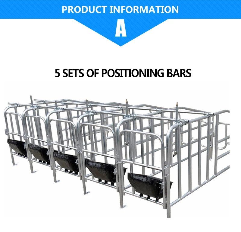 Fattening Pig Stalls - Durable and Efficient Solutions