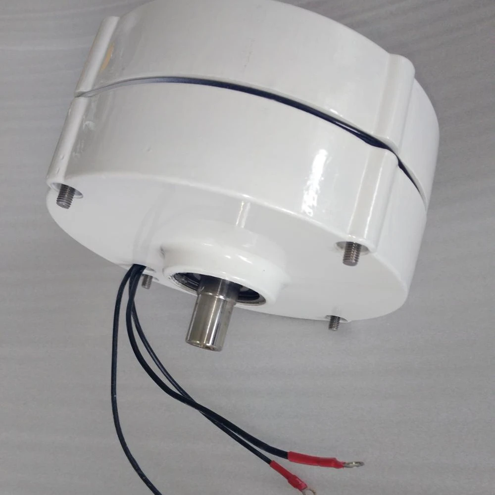 100w 12v/24v Permanent Magnet Dc Generator Price With Good Quality ...