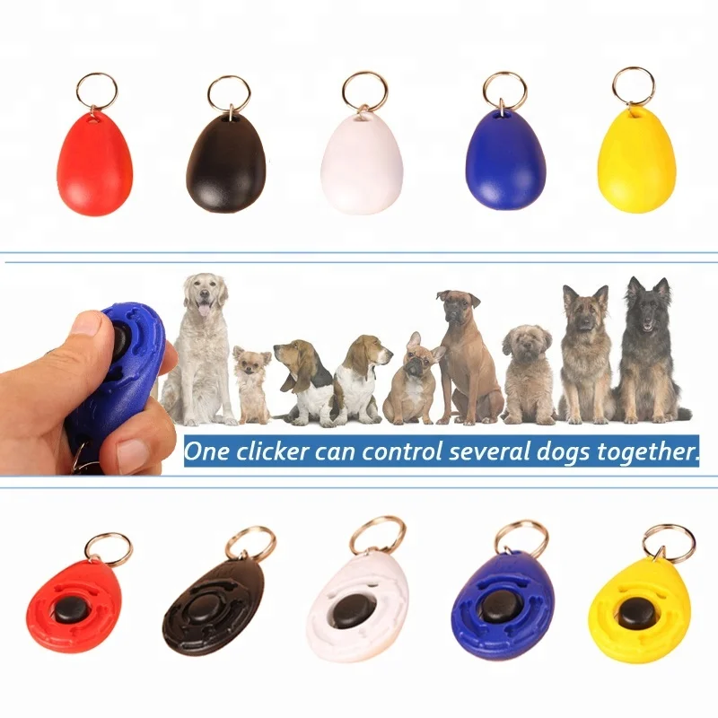 Custom I-Click Dog Training Clicker - Eco-Friendly Clicker for Small ...