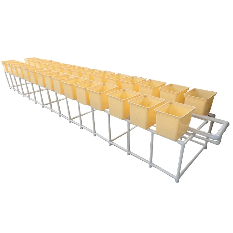 Bato Bucket Setup - Efficient Hydroponic Planting System