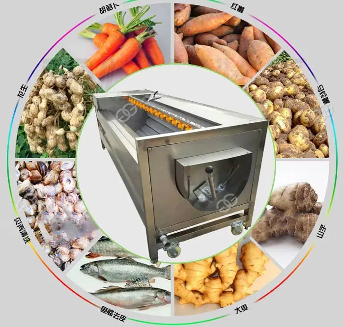 Shell Washing Machine / Seashell Cleaning Machine / Fanshell Washer And ...