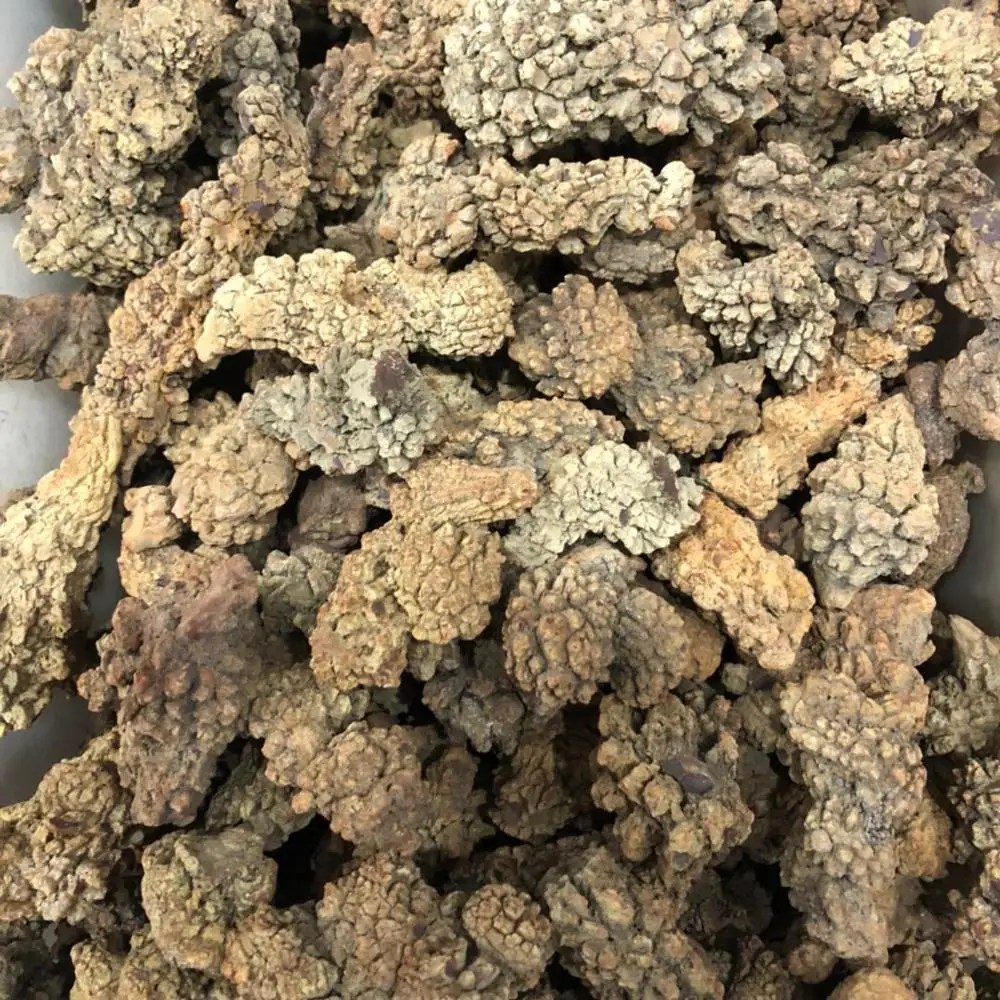 Natural Monazite Specimen Dinosaur Faeces Fossil Stone Rare Earth ...