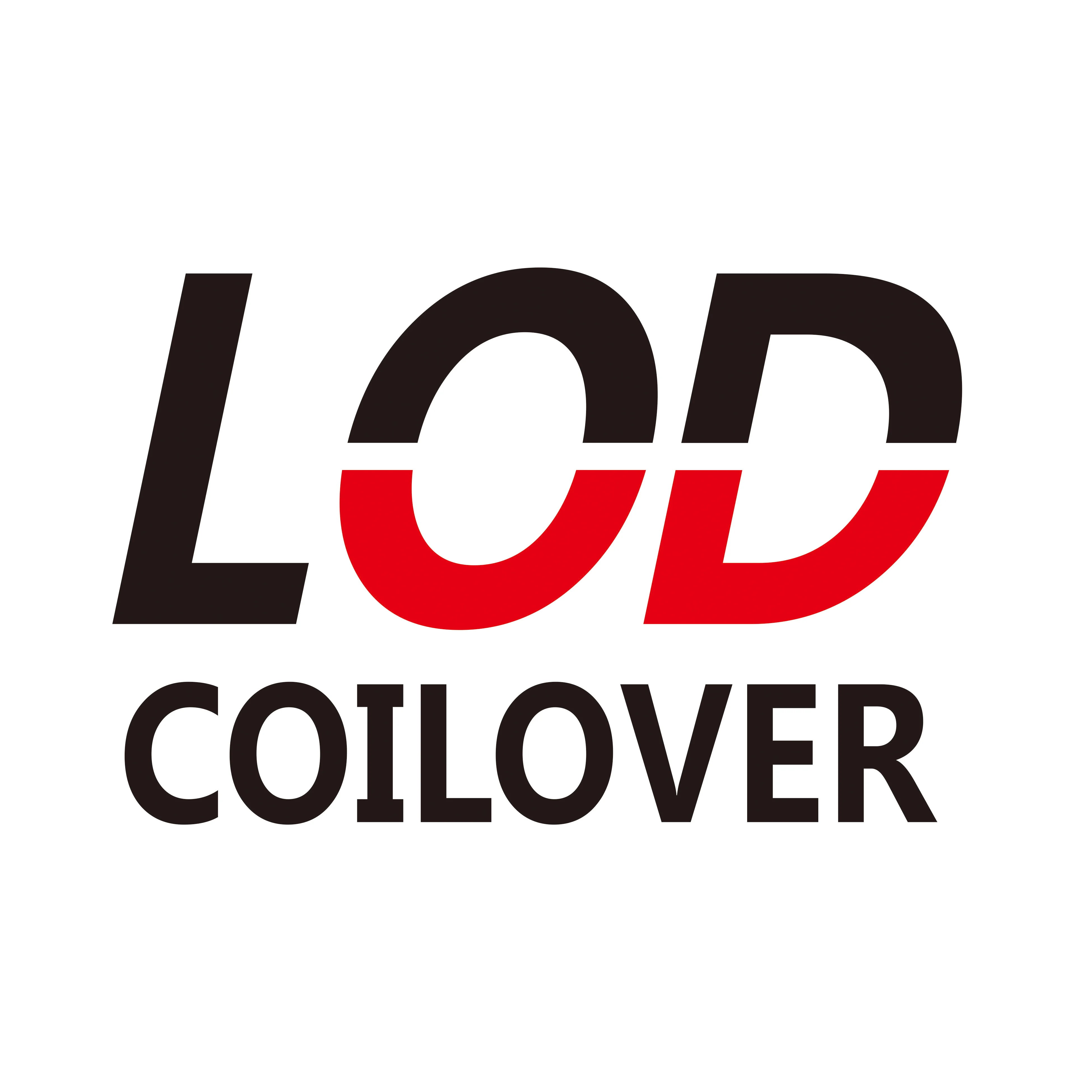 Ldlc Pro Logo Company Overview Quzhou Longding Auto Parts Co., Ltd.