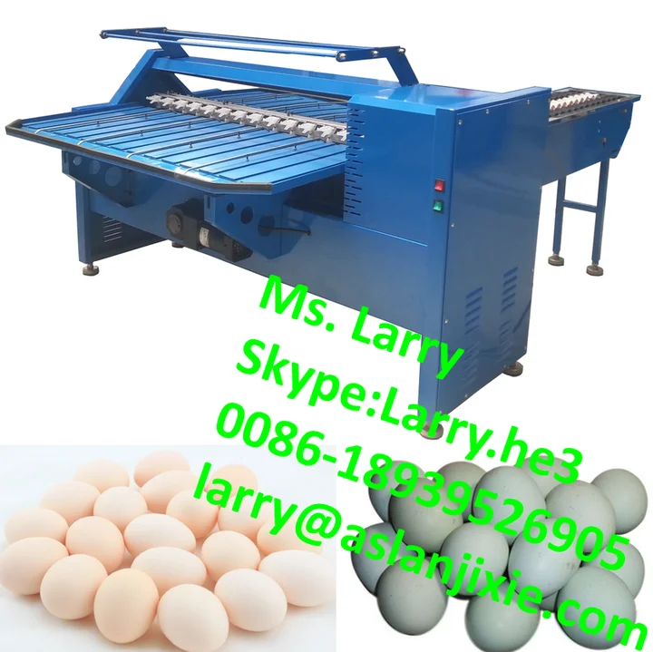 Stainless Steel Sorting Machine跨境商机分析报告行业外贸出口趋势-阿里巴巴国际中文站官网