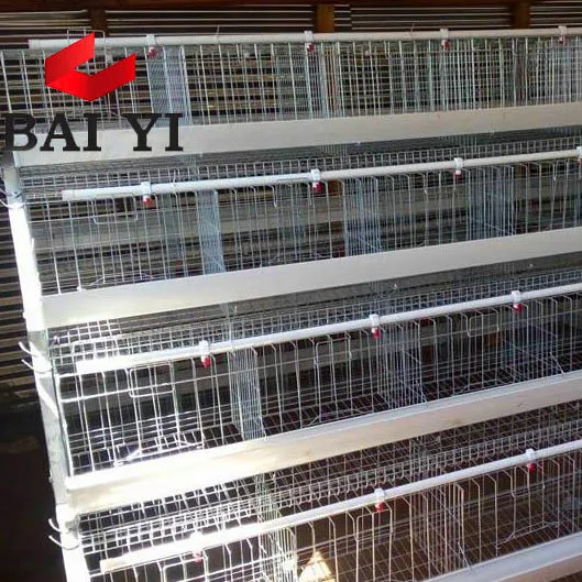 Nepal Layer Chicken Battery Cages For 10000 Birds Poultry Farm Design ...