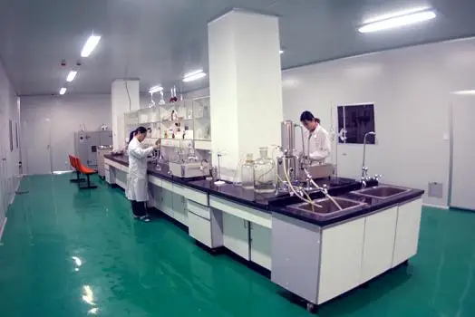 Company Overview - Sunson Industry Group Co., Ltd.