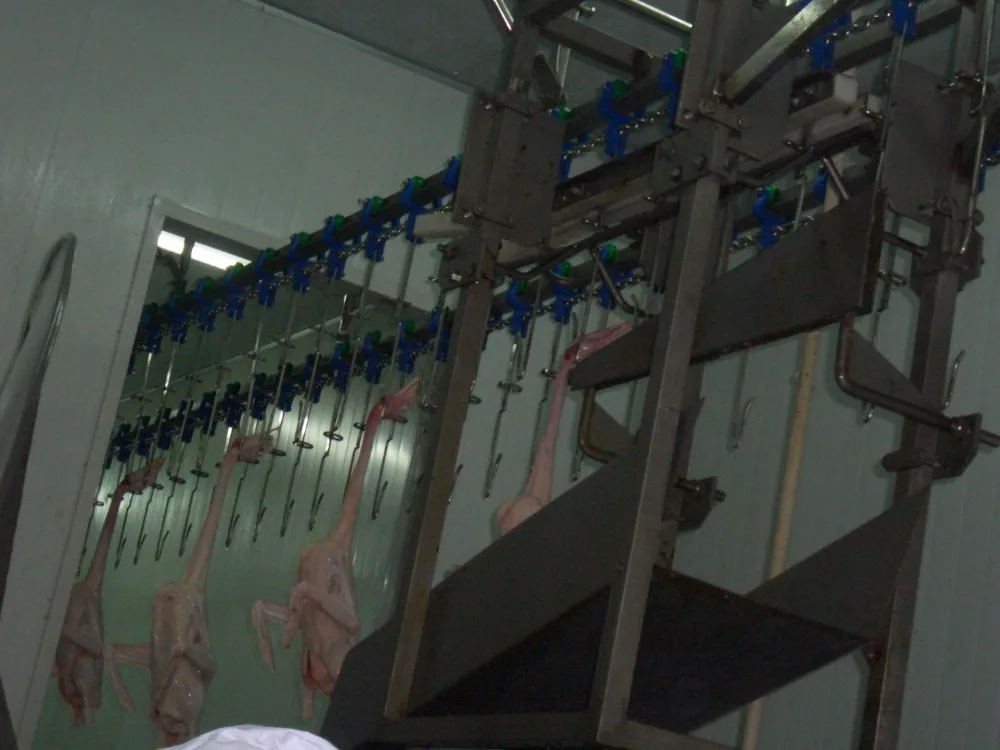 4000 Bph Dove Abattoir Equipments - Buy 4000 Bph Dove Abattoir ...