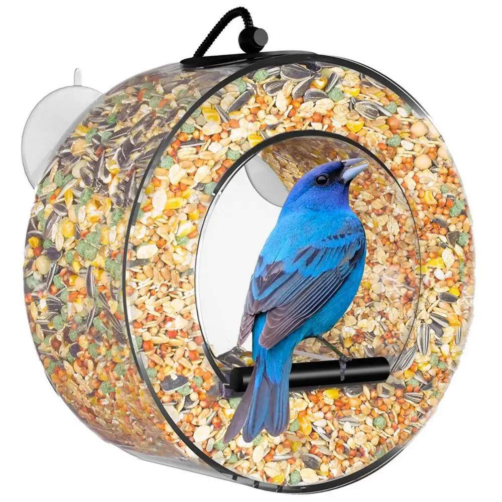 Custom Round Acrylic Bird Feeder - Wholesale Available