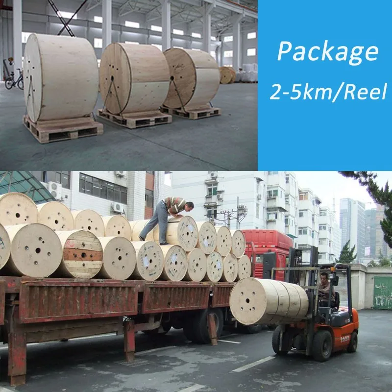 2 4 6 8 24 32 48 84 96 144 288 Core Armoured 12 Core Fiber Optic Drop Ftth Cable Gyta Gyta53 ...