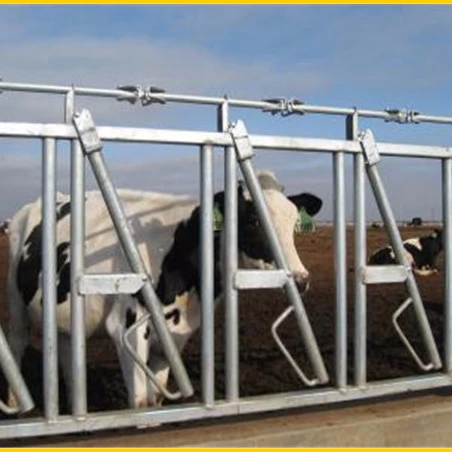 New Cattle Farm Machinery Equipment Cow Head Lock For Sale - Buy Cow ...