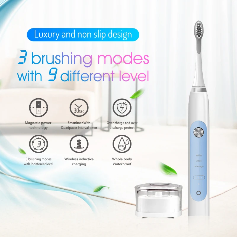 Seago SG-982 Sonic Pro Electric Toothbrush | 3 Modes, 2-Minute Timer ...
