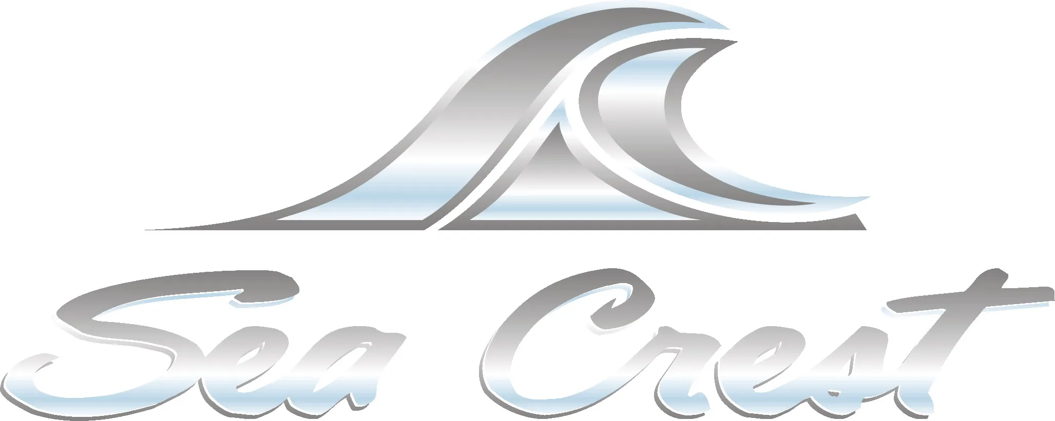 Company Overview - Estaleiro Seacrest Do Brazil