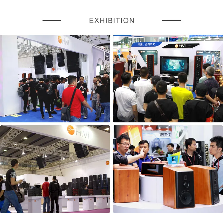 Hivi Ribbon Tweeter RT2H-A - High Performance Speaker Driver