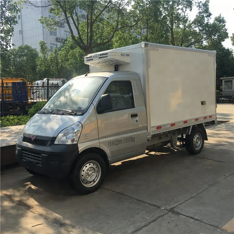 Refrigerated Van 1.5 Ton - Efficient Frozen Meat Transport