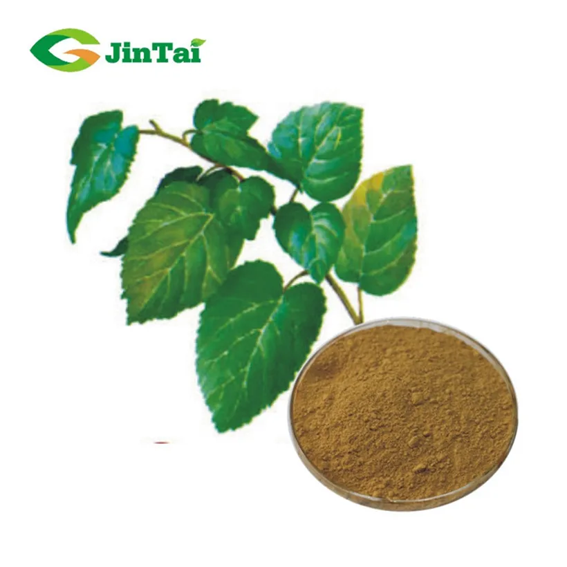 Morus Alba Extract - White Mulberry Root Bark Extract 1% DNJ
