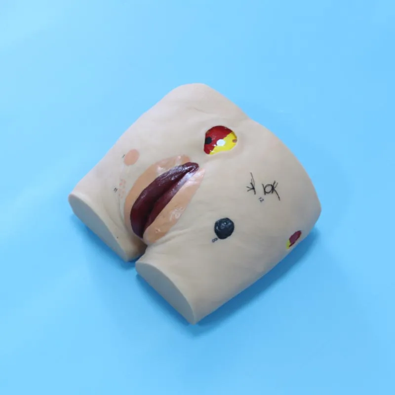 BIX-H10 PVC Elderly Nursing Model for Pressure Ulcer Training