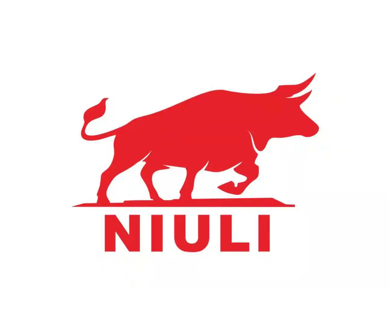 Company Overview - Anqing Niuli Mould Co., Ltd.
