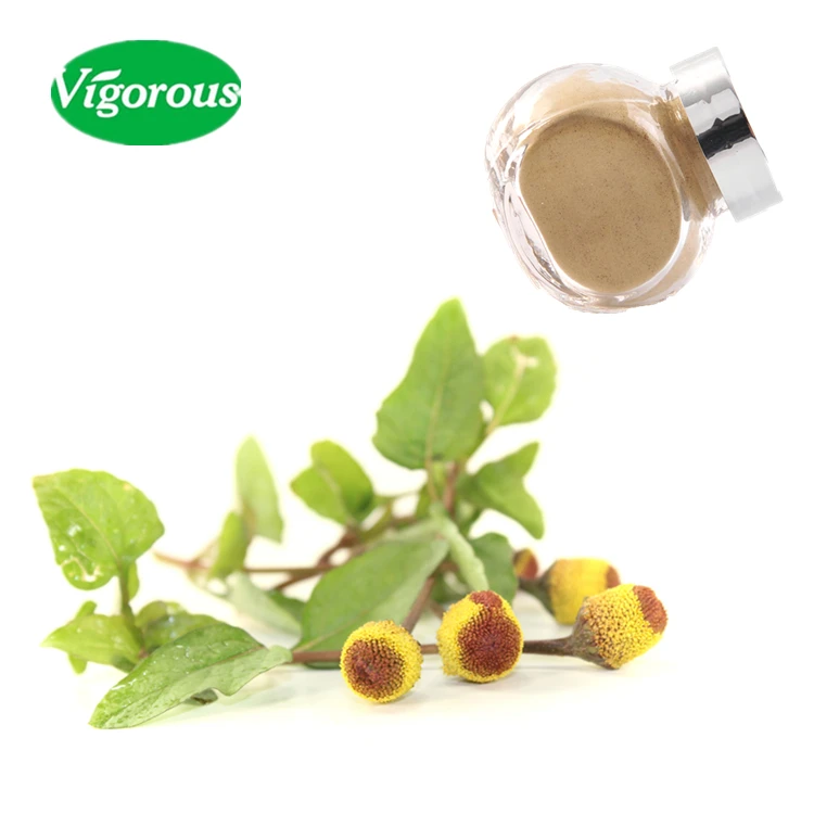 Kosher Halal Acmella Oleracea Spilanthol Extract Powder