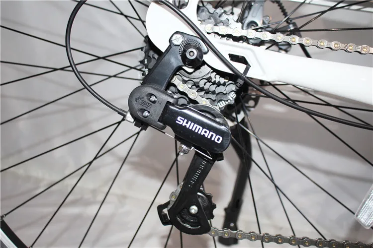 Mid Drive Enduro Ebike - 250w Electric City Bike for Adults