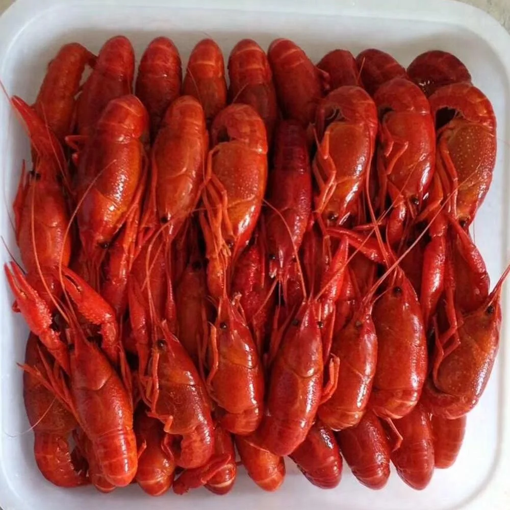 New Season Frozen Cooked Crawfish/Crayfish| Alibaba.com