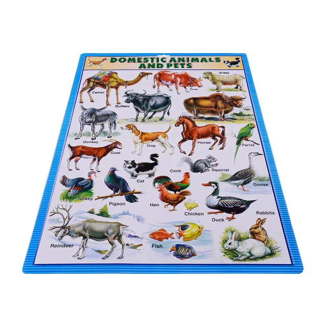 Indian Animals Chart