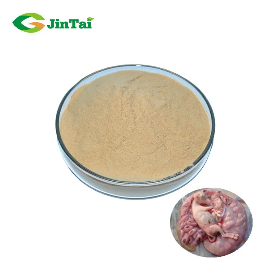 Sheep placenta powder/sheep placenta freeze dried powder/sheep placenta ...