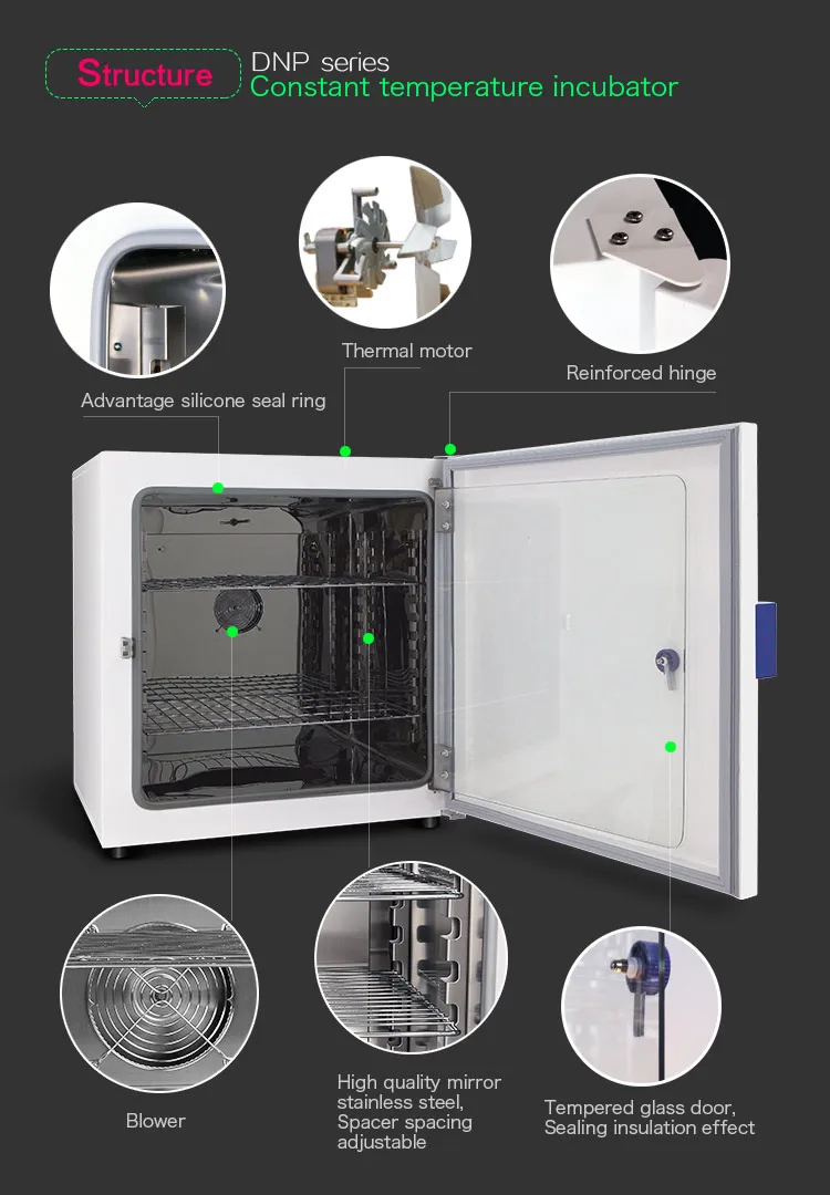 Kenton Environment Test Chamber Equipment for Microbiology Lab