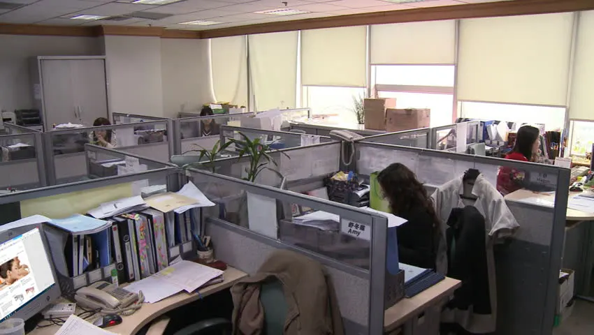 Company Overview - Anhui Sunny International Co., Ltd.